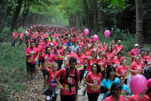 CAT&SY - Odyssea 2015 | Alvarum